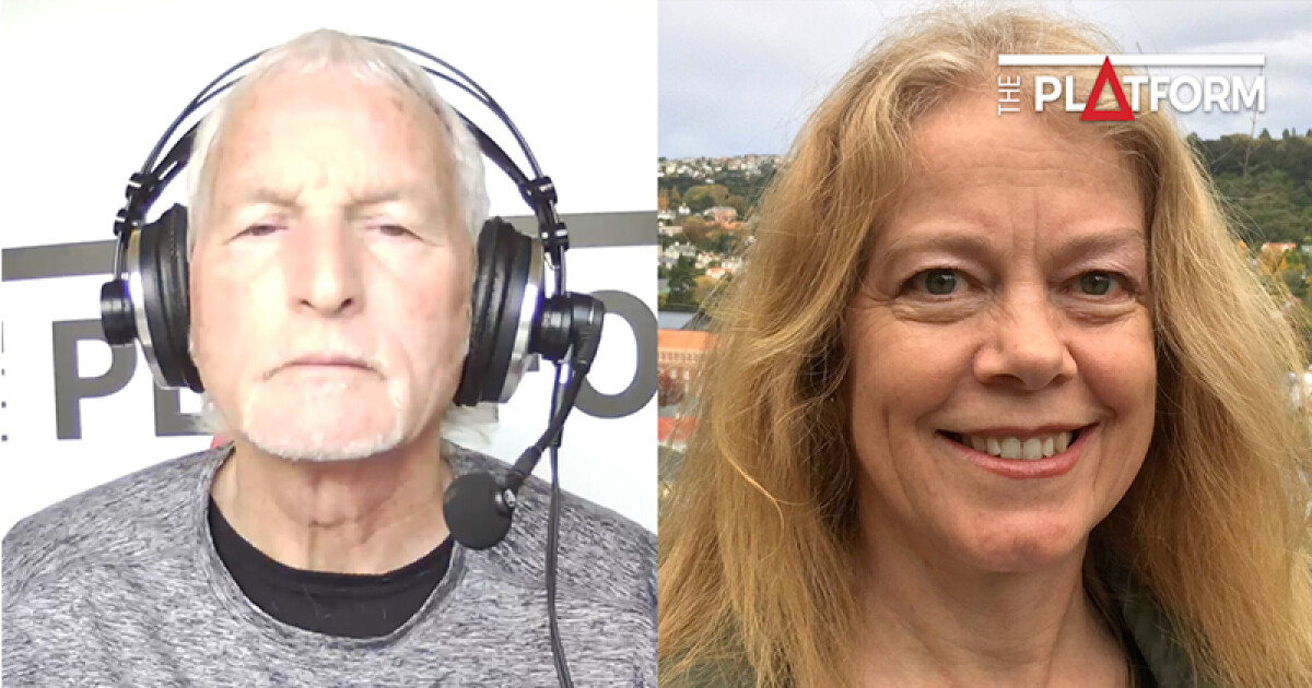 Hilary Calvert on minor parties, party policy, and Ayesha Verrall | The ...