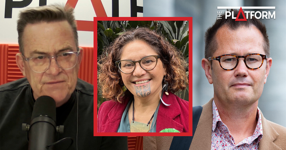 Bryce Edwards on the Darleen Tana Investigation | The Platform