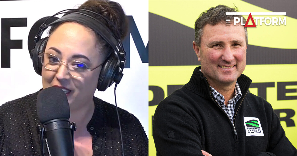 David Birkett Talks Canadian Geese Taking Over Canterbury | The Platform