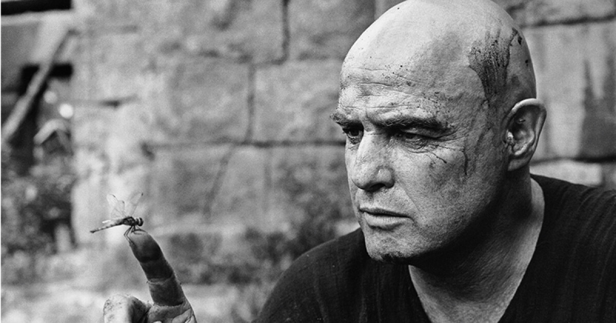 The Darkness Of The Tamihere Fiefdom | The Platform